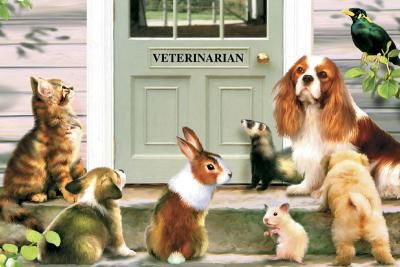 | Vets Open Near Me PEt Crematory