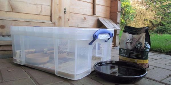 Feeding | Hedgehog Cabin