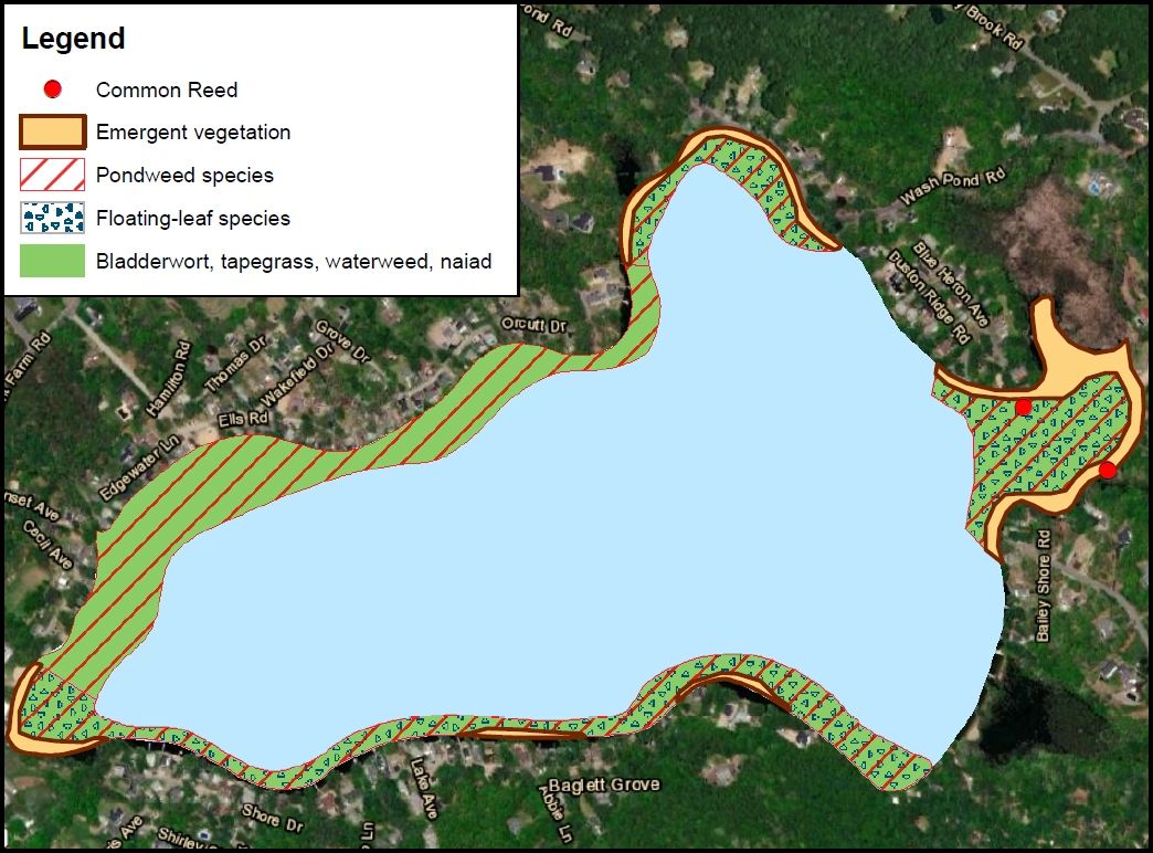 2021 Sunset Lake Aquatic Plant Survey