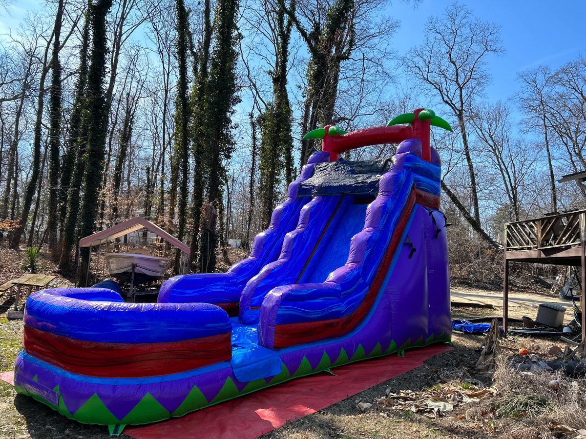 Palm Tree Water Slide (WET +$50)