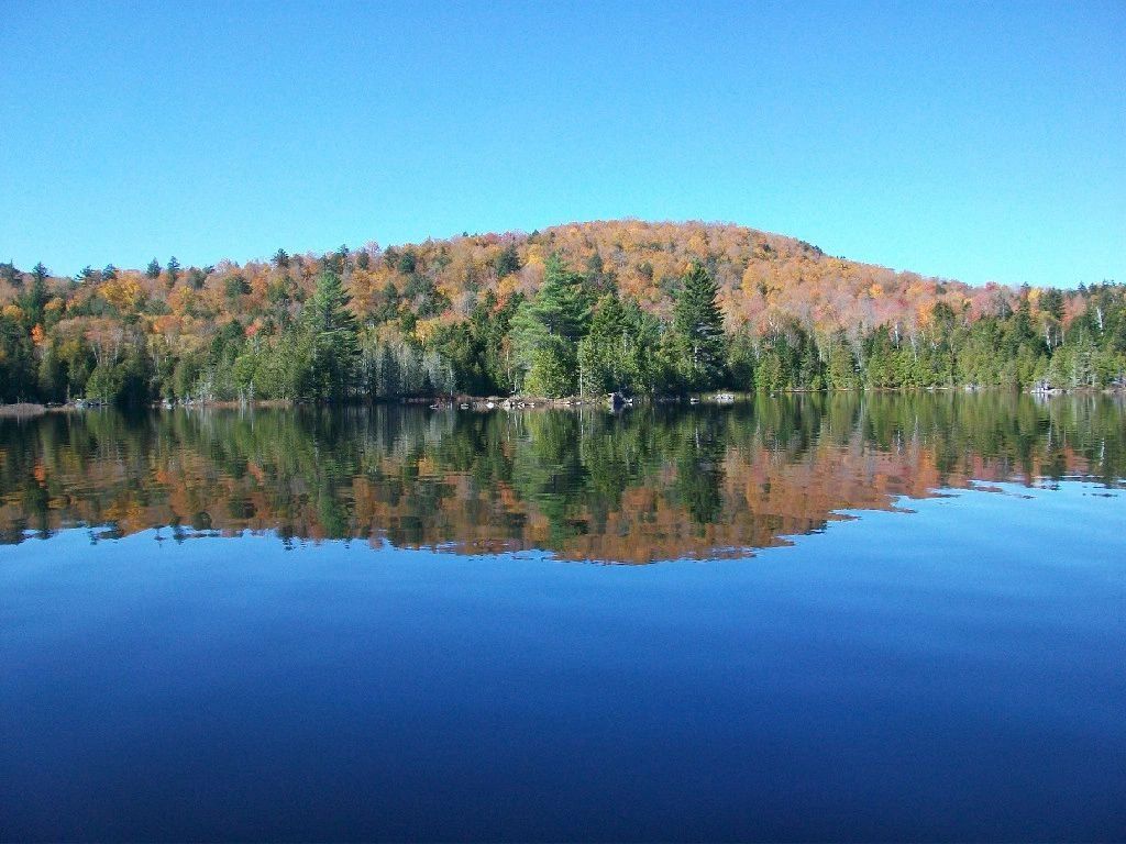 Creative Conservation, LLC
