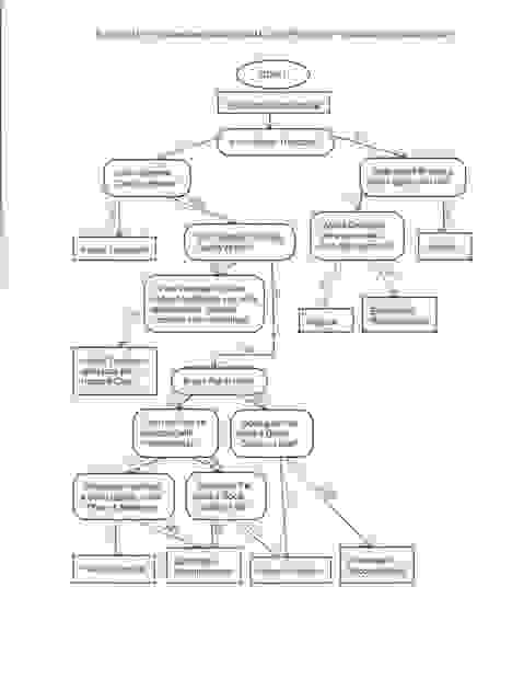 Euthanasia Flow Chart | Animal Chaplain
