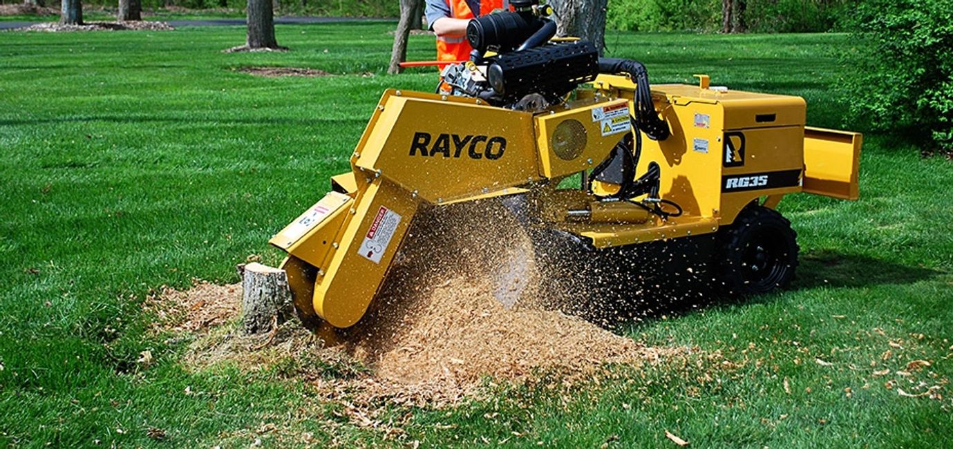 Stump Removal | MG Tree Care