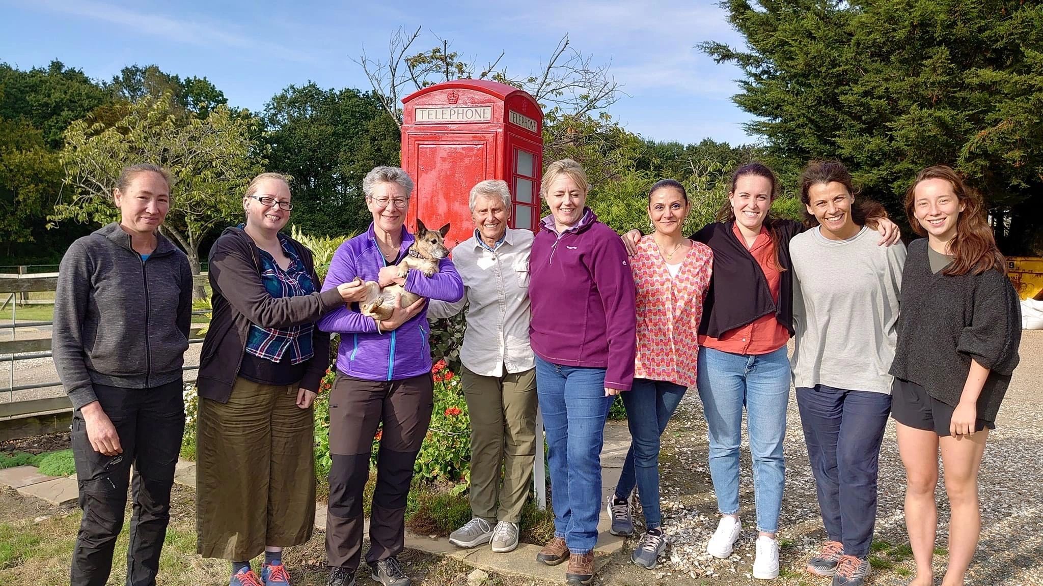 A Brief Introduction to The Meridian System (TCM)