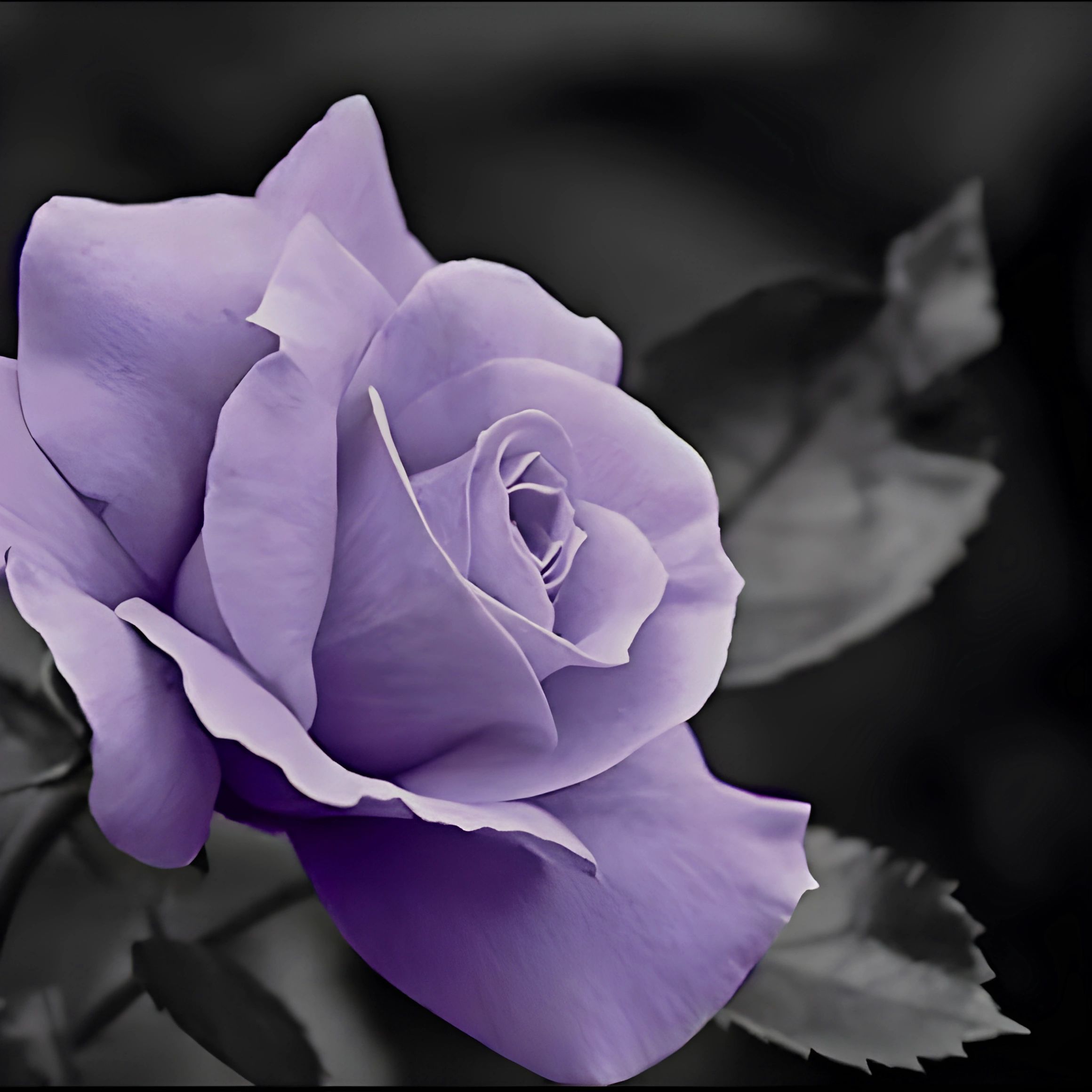 ABOUT US | Mental Health Care