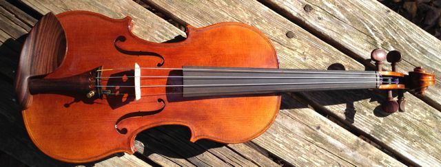 Musical Instrument Building and Repair - Eli Feuer