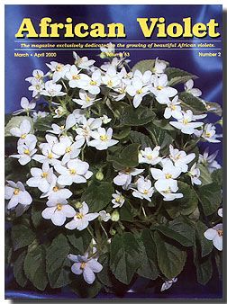 African Violets, Gesneriads - JoS Violets - Victoria, Texas