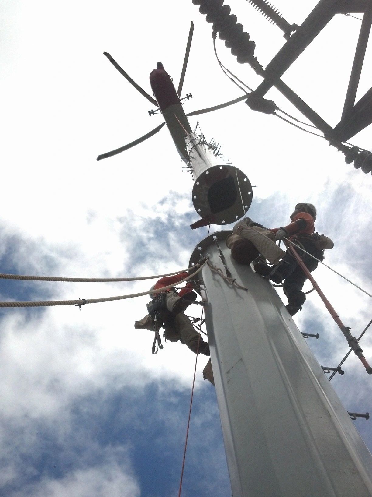 Alpine Line Consulting