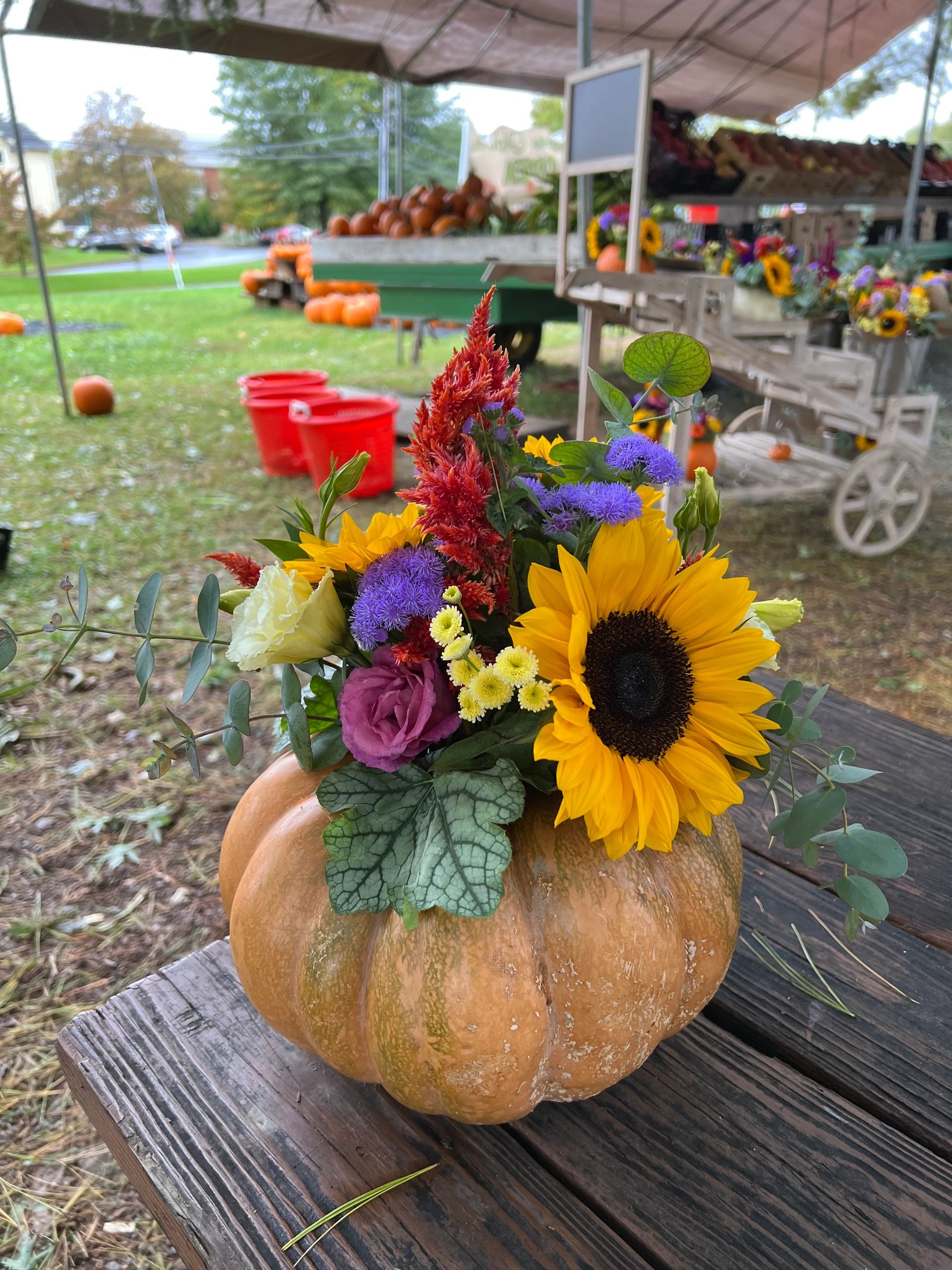 Brandywine Blooms - Flowers - Kennett Square, Pennsylvania