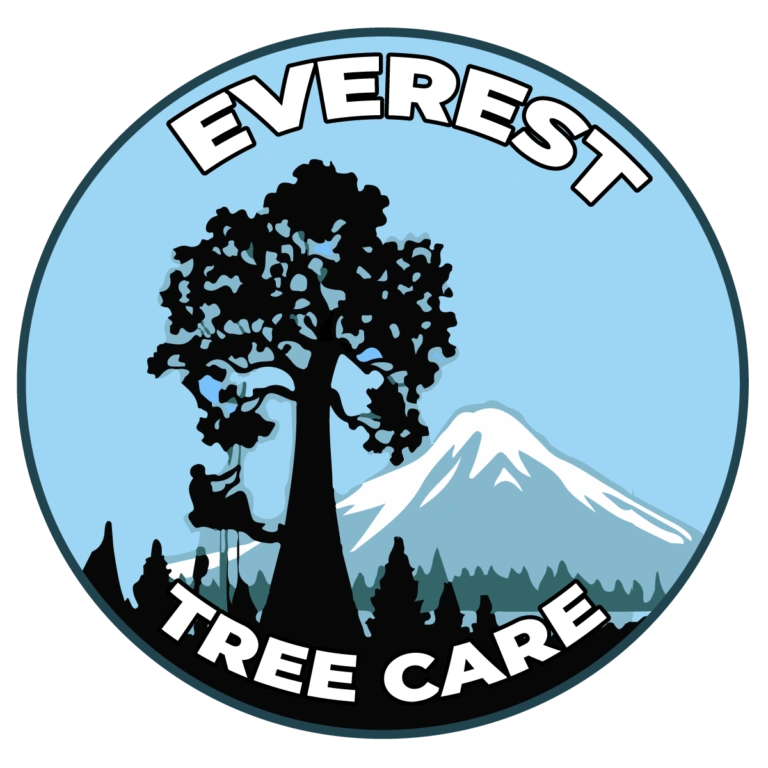 Stump Grinding, Tree Removal, Tree Services - Everest Tree Care ...