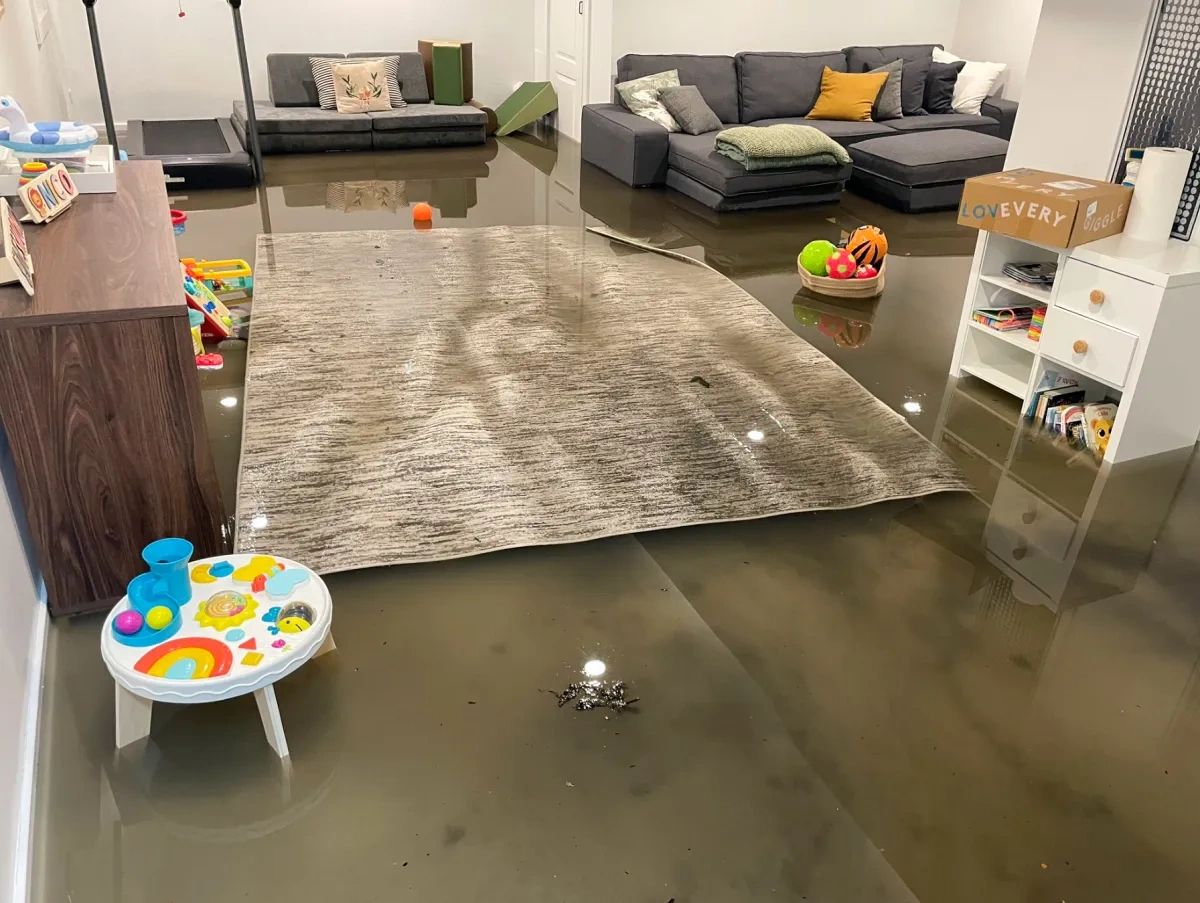 All Pro Restoration Inc - Water and mold Damage Experts