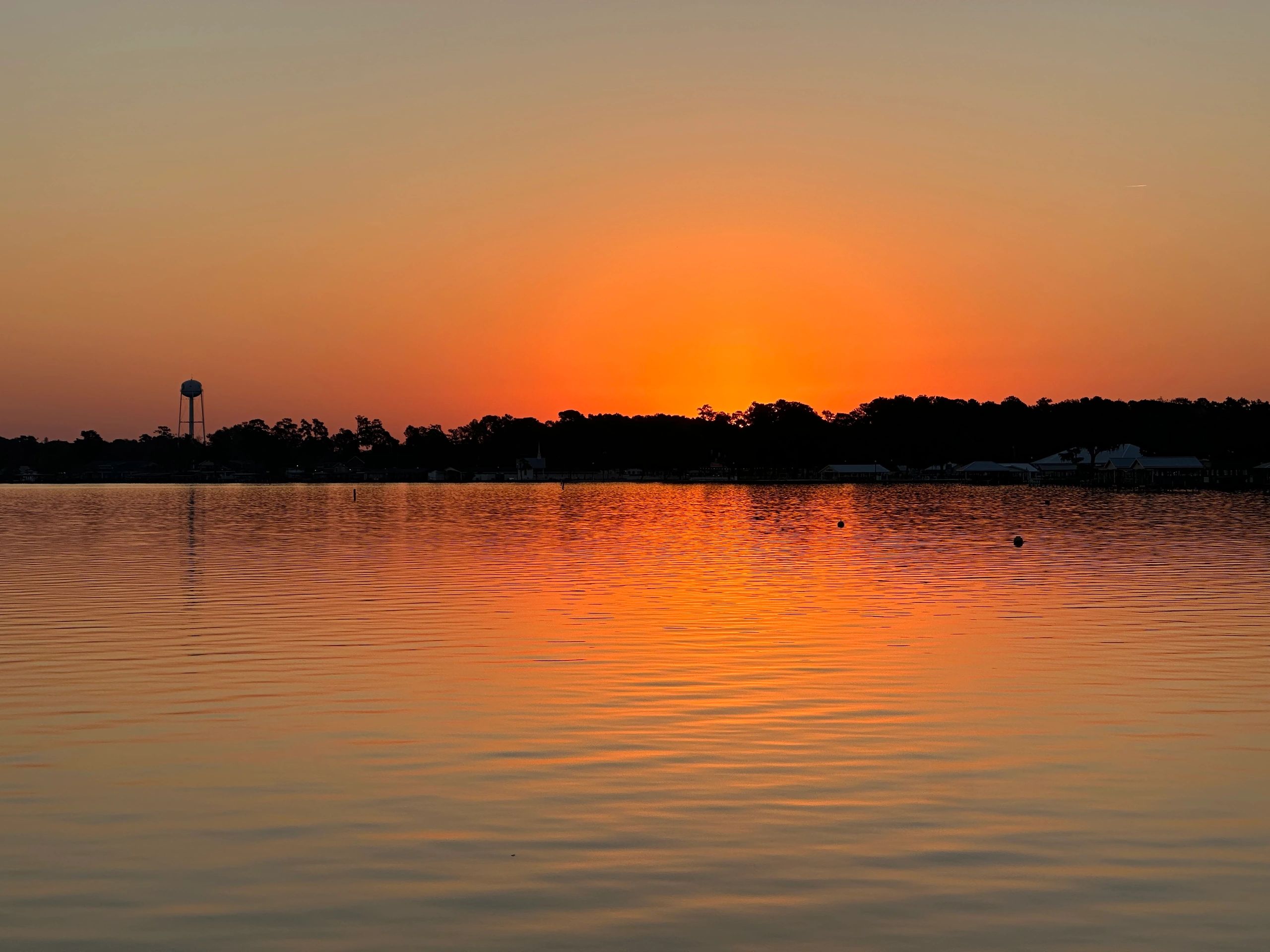 BOARD REPORTS 2024-25