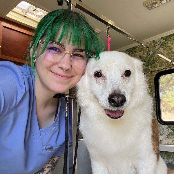 Kat n Dog Grooming - Home