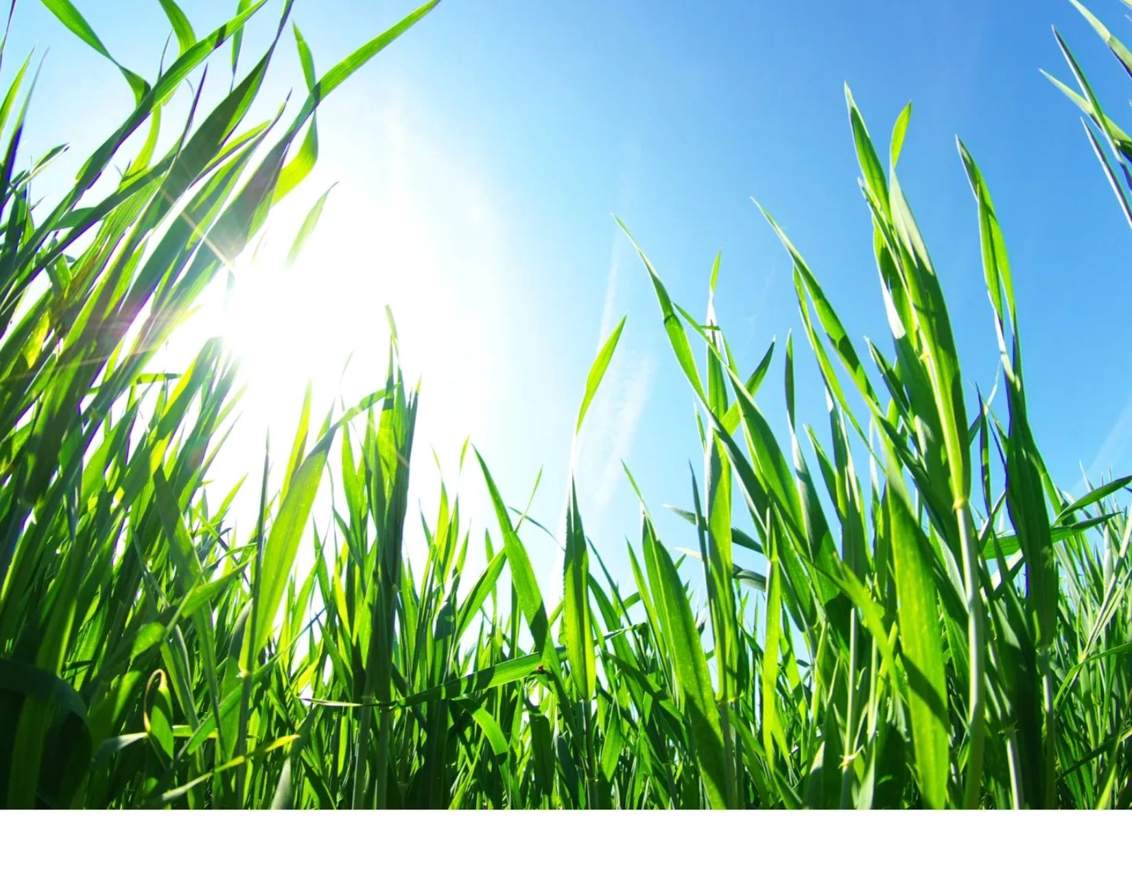 Every Element Landscape