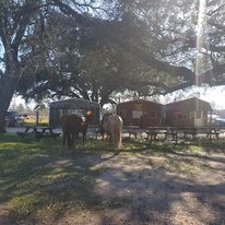 Rogers Bbq Barn