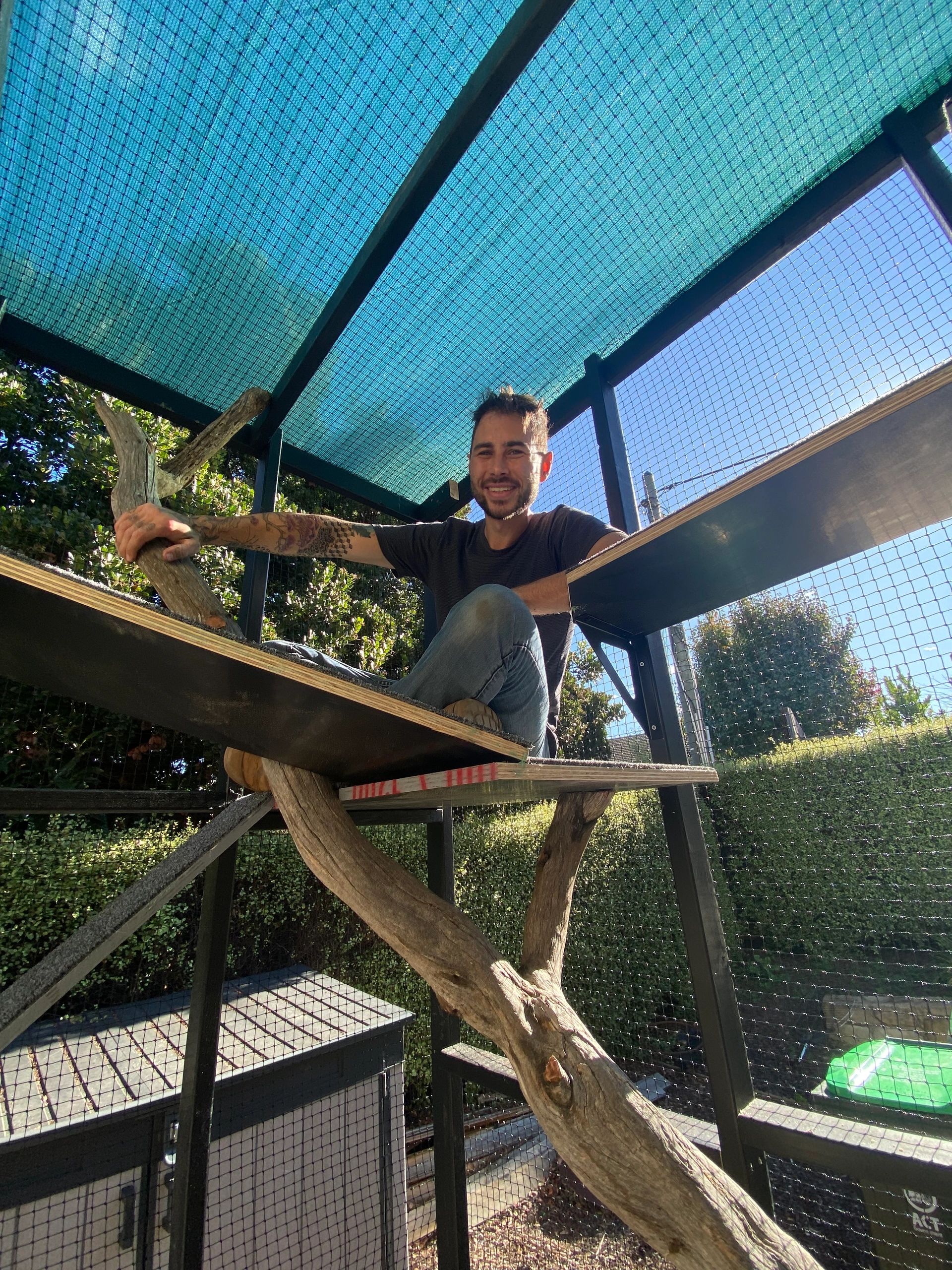 Cat Cribs - Outdoor Cat Enclosures, Cat Enclosures