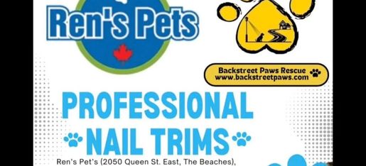 BACKSTREET PAWS RESCUE - Dog Rescue, Adopt a Dog, Nonprofit