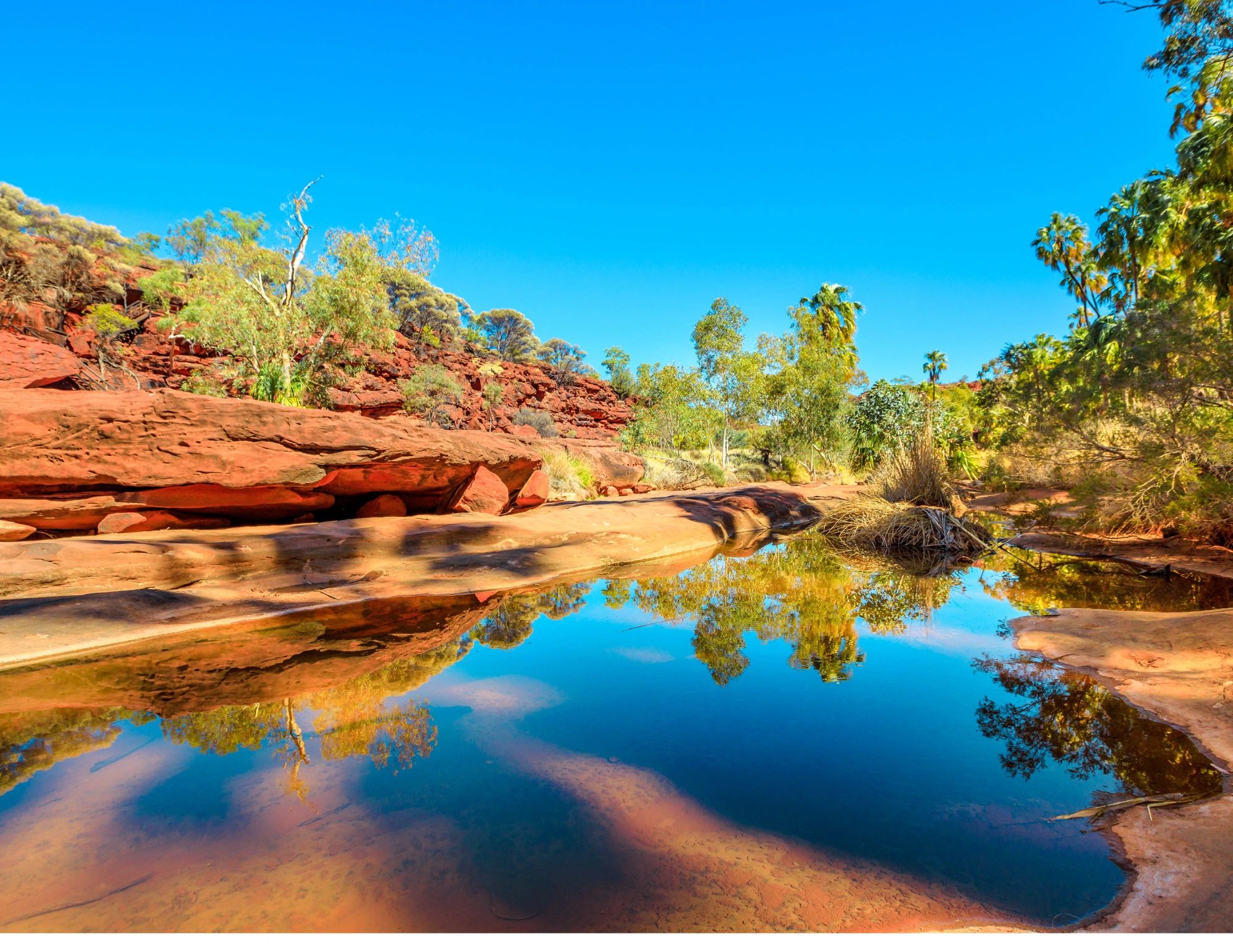 oasis landscaping LLC