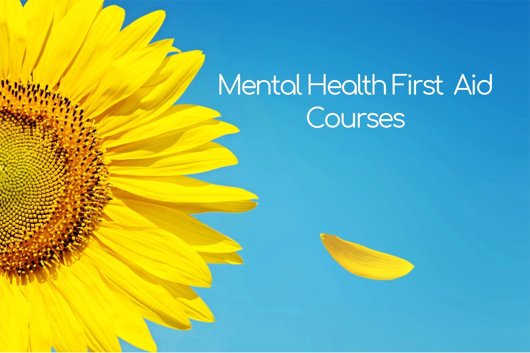 MHFA Mental Health First Aid Courses - Kelly King Consulting