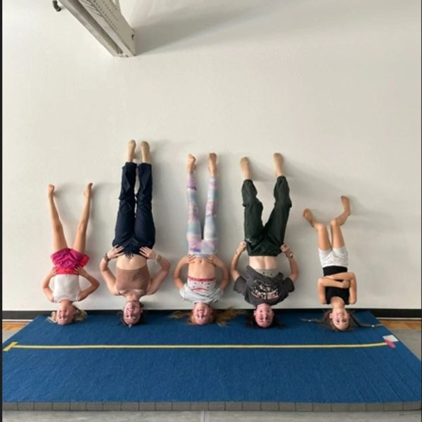 Dance Natural Creative Complex