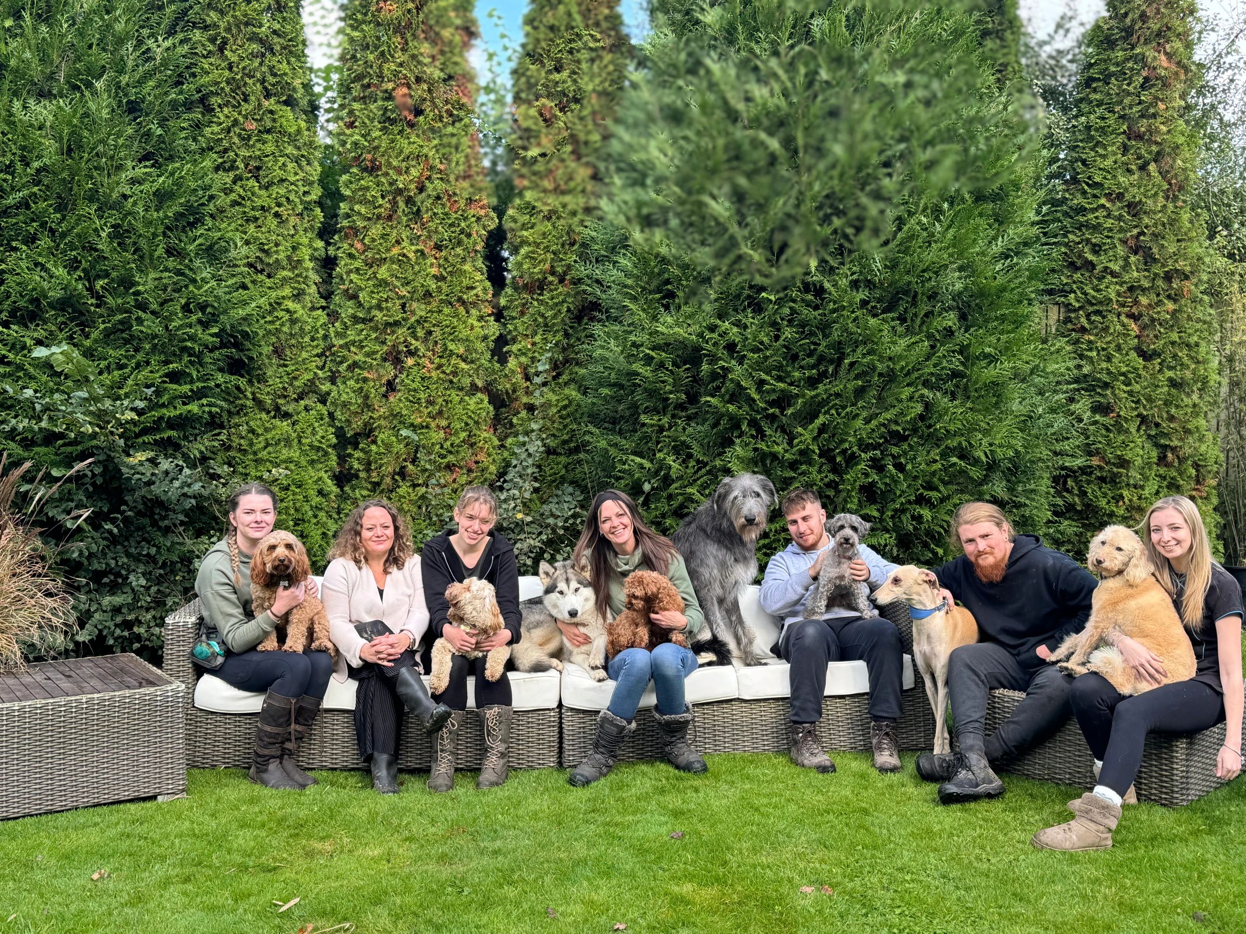 Harry's Hounds | Dog Walking & Home Boarding Service in West Sussex ...