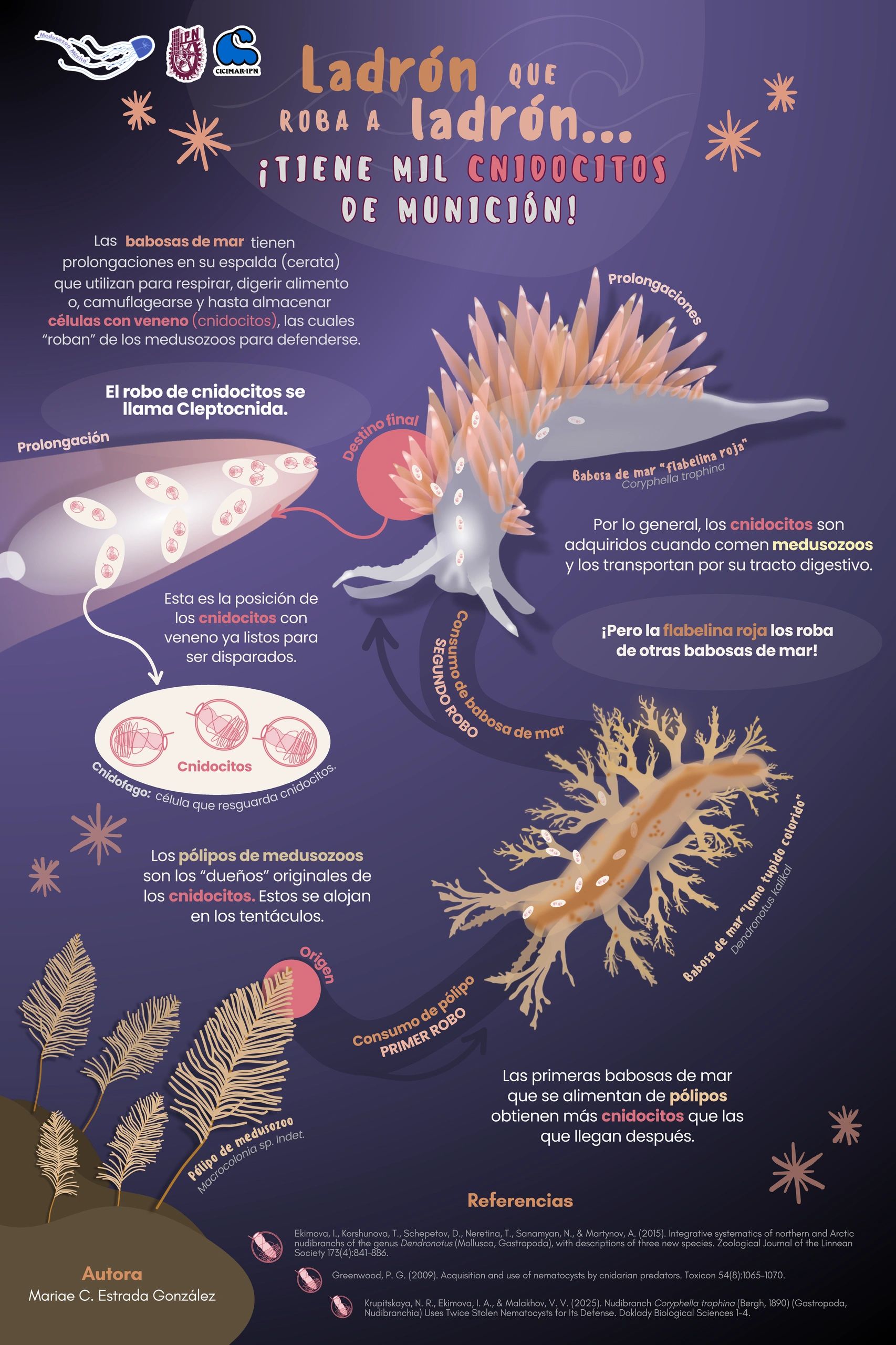 Ladrón que roba a ladrón, ¡tiene mil cnidocitos de munición!