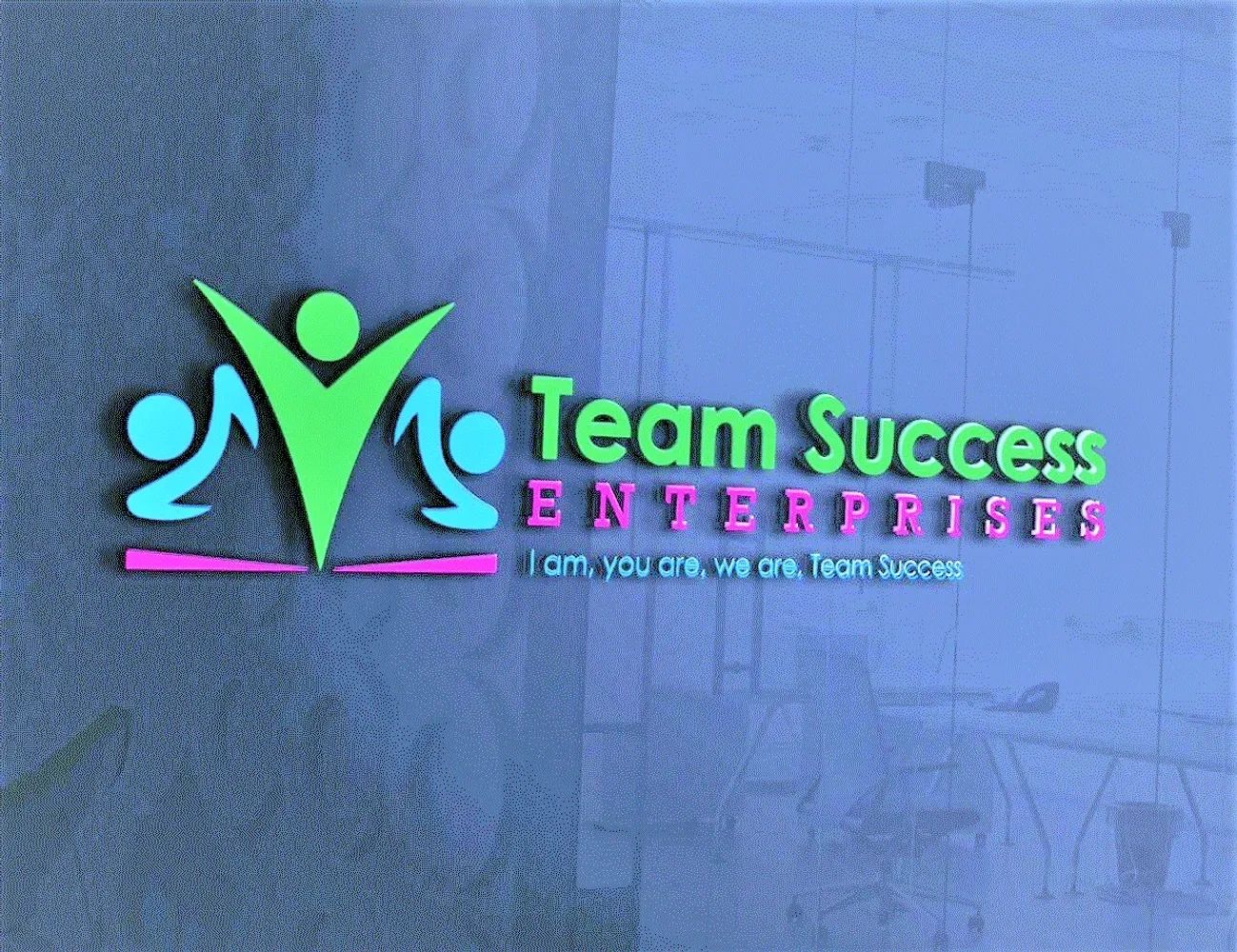 Team Success Enterprises