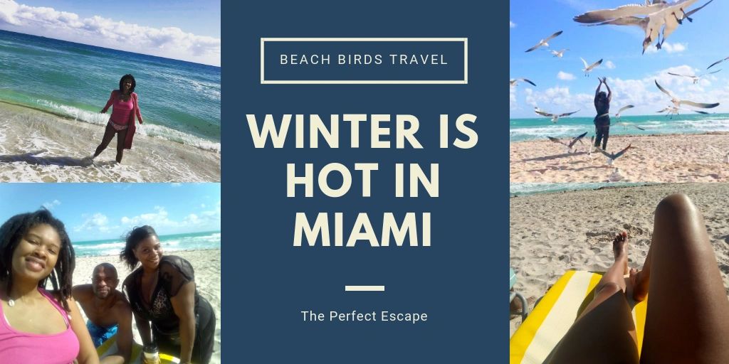 Winter Is Hot In Miami