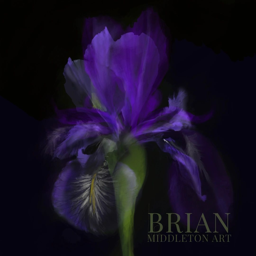 Brian Middleton Art - Original Art, Artist, Limited Editions