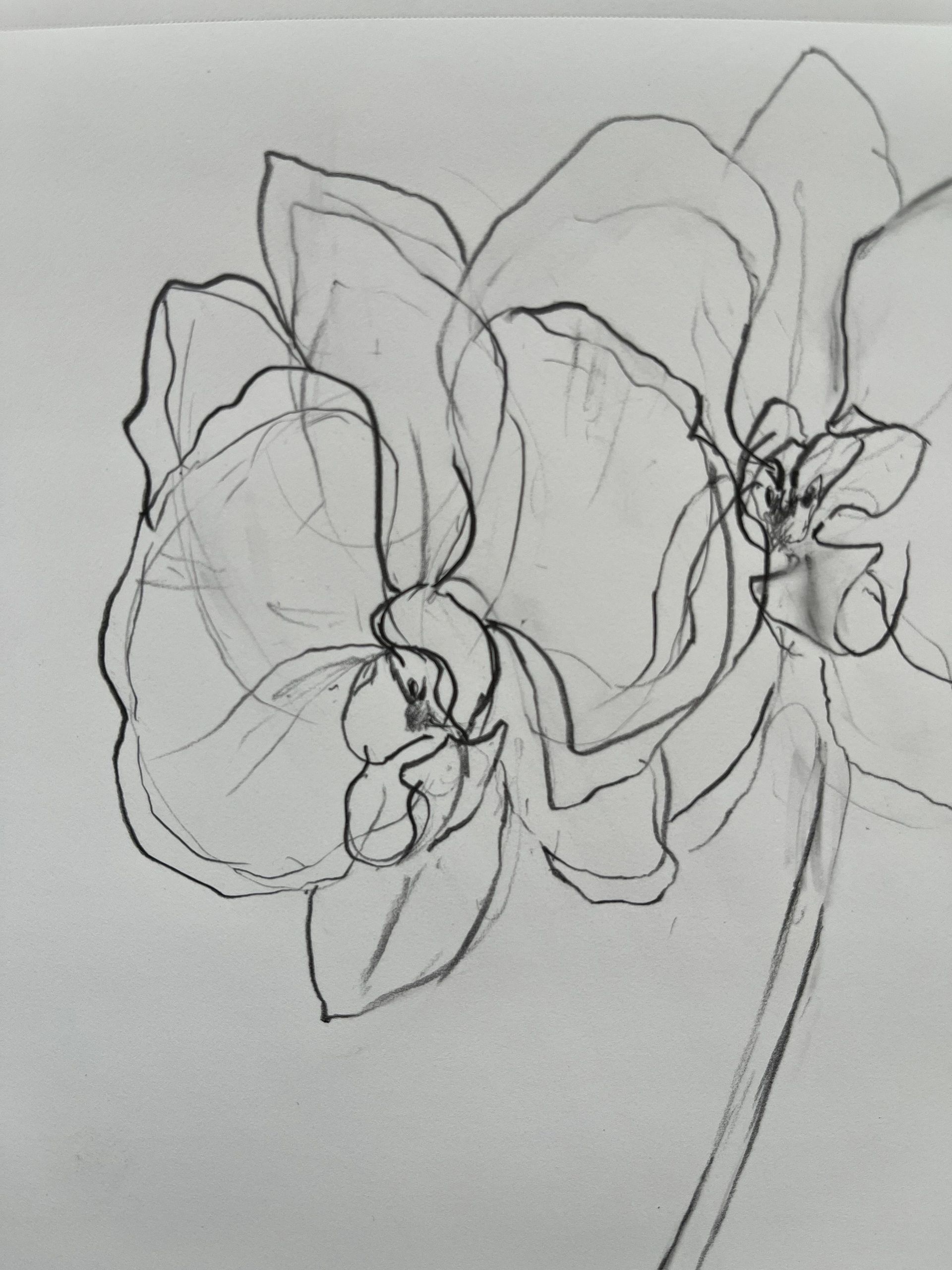 Brian Middleton Art - Original Art, Artist, Limited Editions