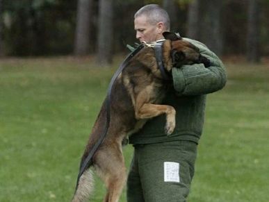 Police K9 Seminar