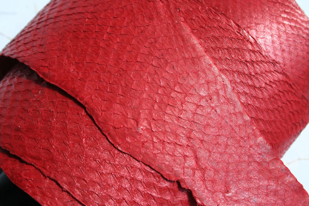 FISH LEATHER