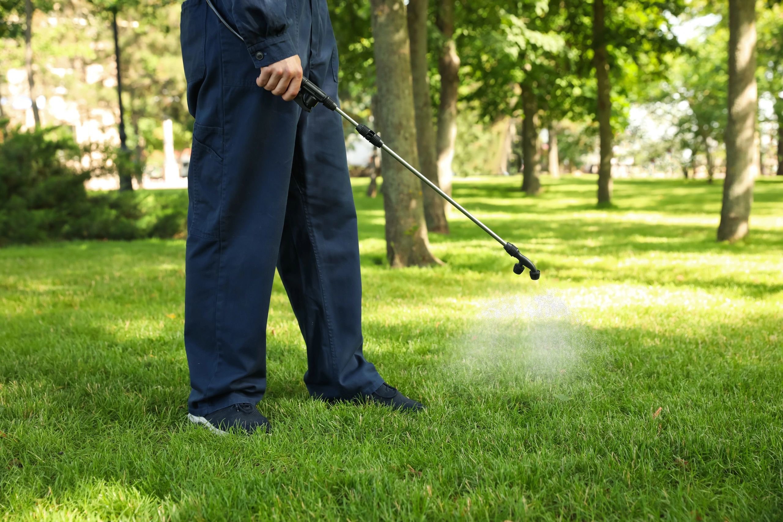Effective General Pest Control Treatment