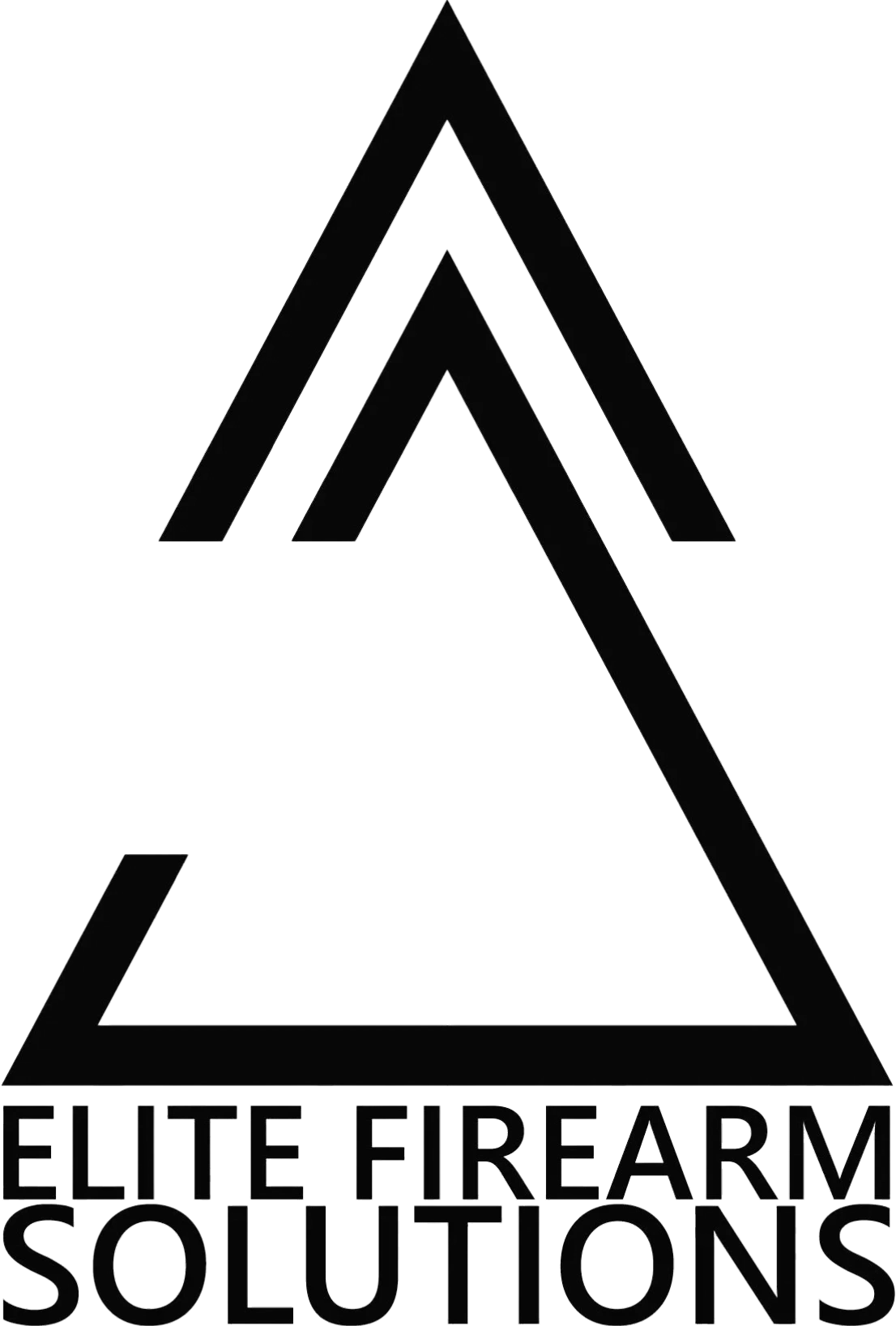 ELITE FIREARM SOLUTIONS, LLC