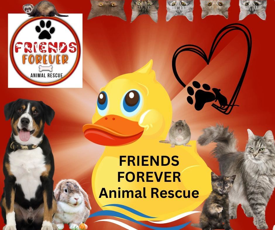 Friends Forever Animal Rescue
