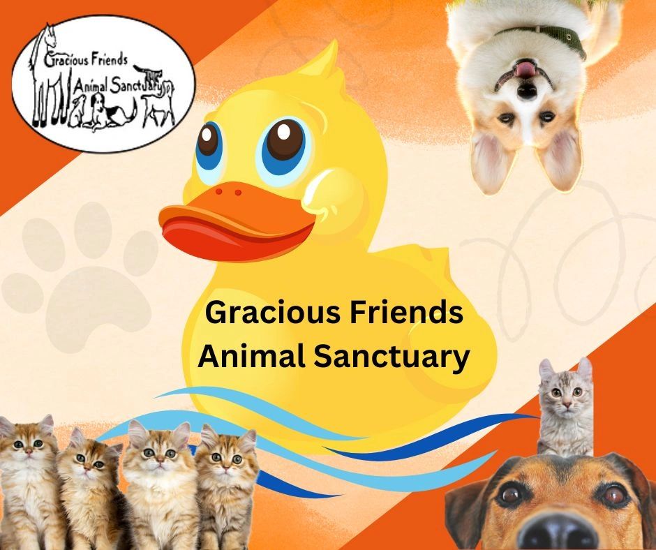 Gracious Friends Animal Sanctuary