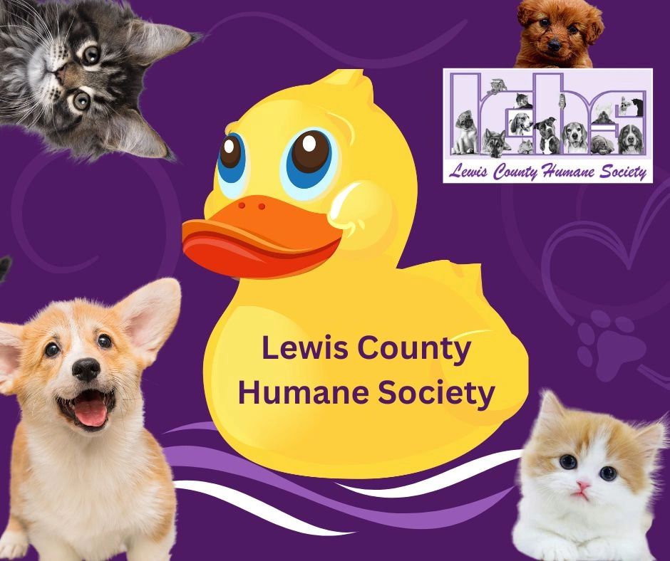 Lewis County Humane Society