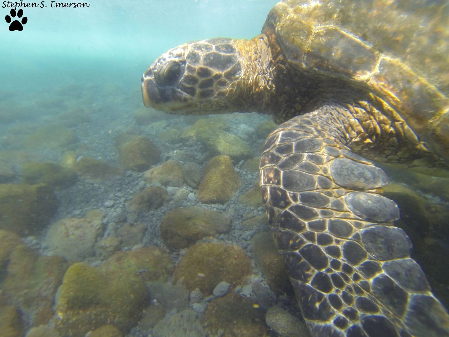 Environmental Biologist - Environmental Inspection