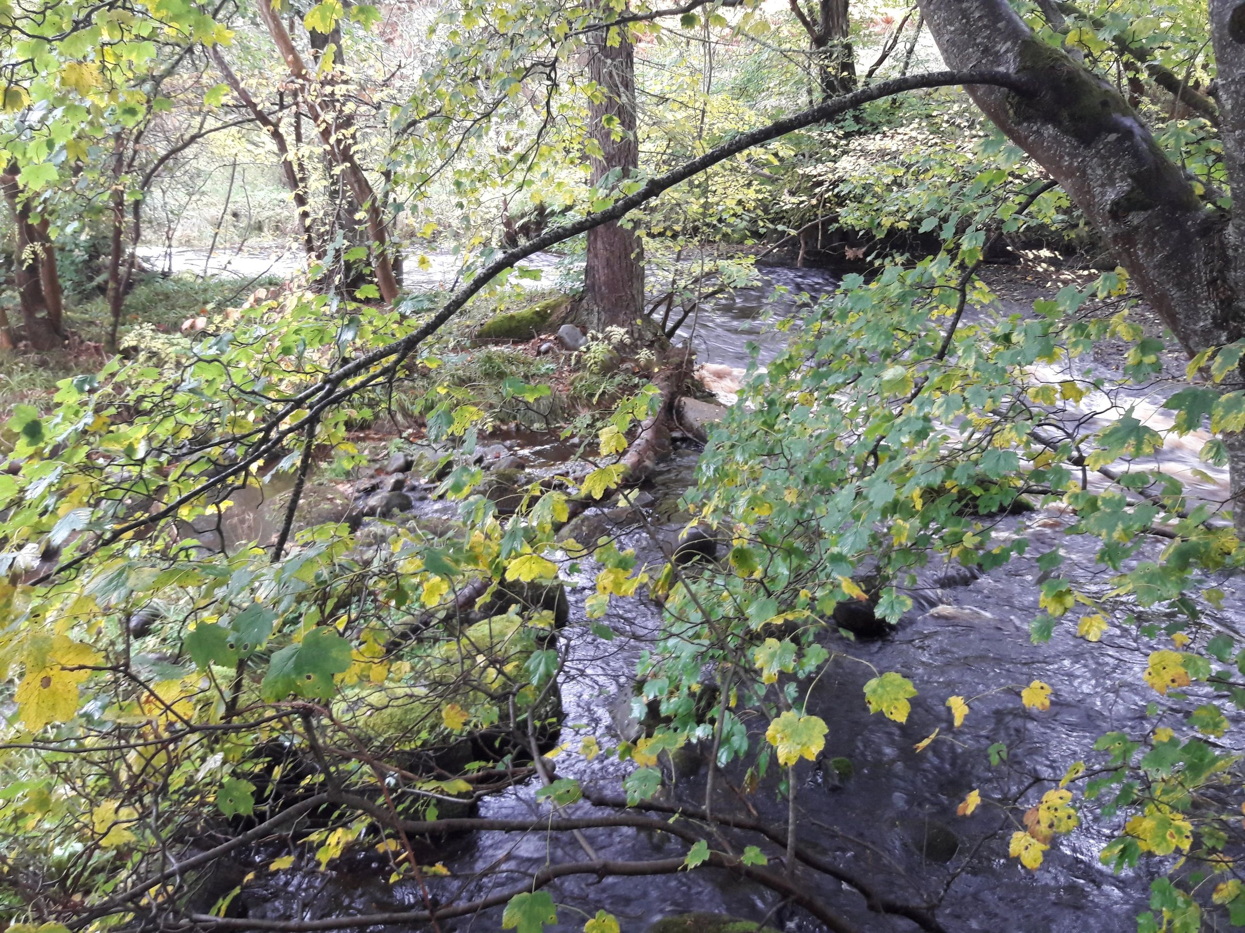 Farm Habitats | Katewell Habitats