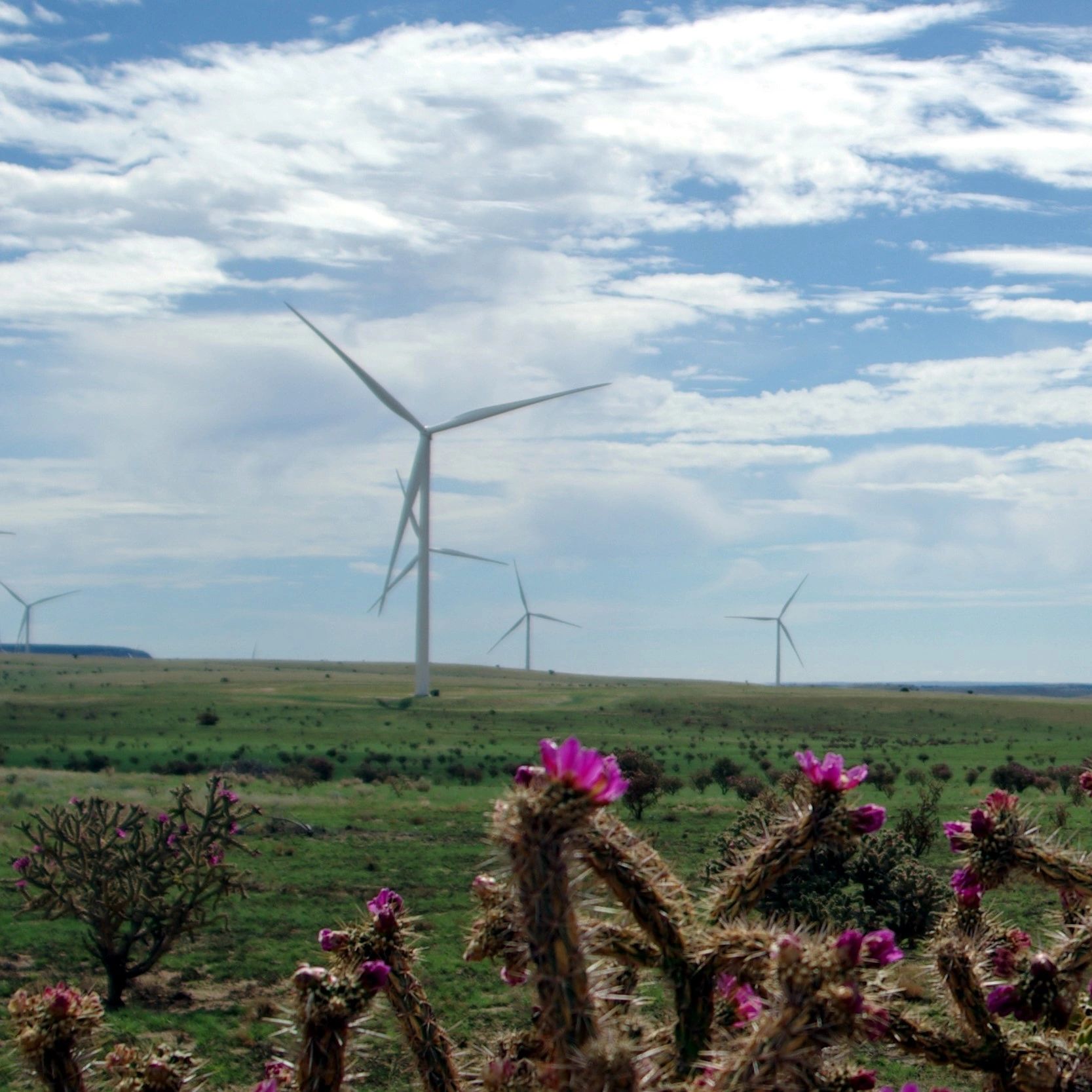 Merilee Dannemann5-13-24+