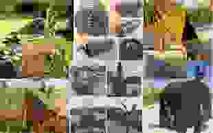 Solaz Designs - Metal Art in Tucson, Solar Lights, Landscape Lighting