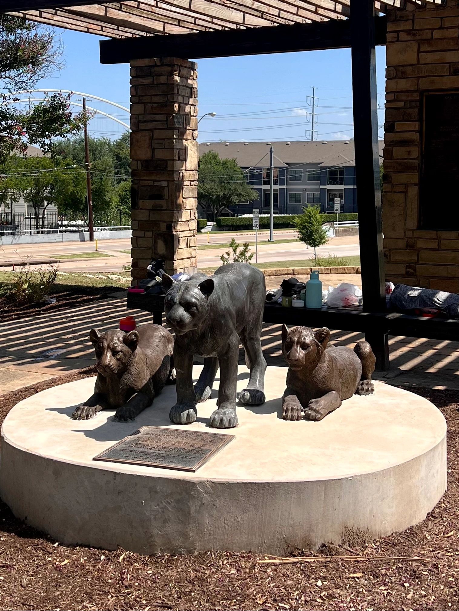 OCLC Unveils New Lion Cub Statues at Park