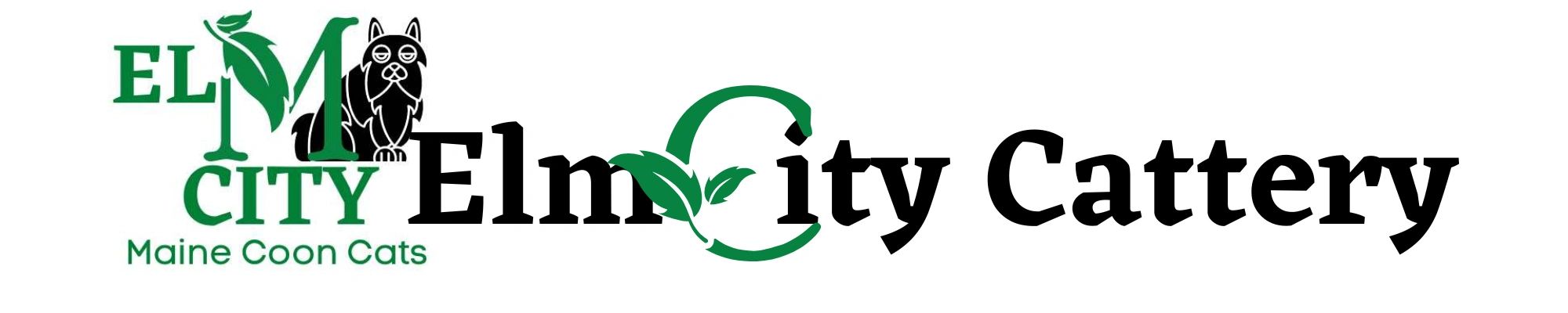 Home [elmcitycats.com]