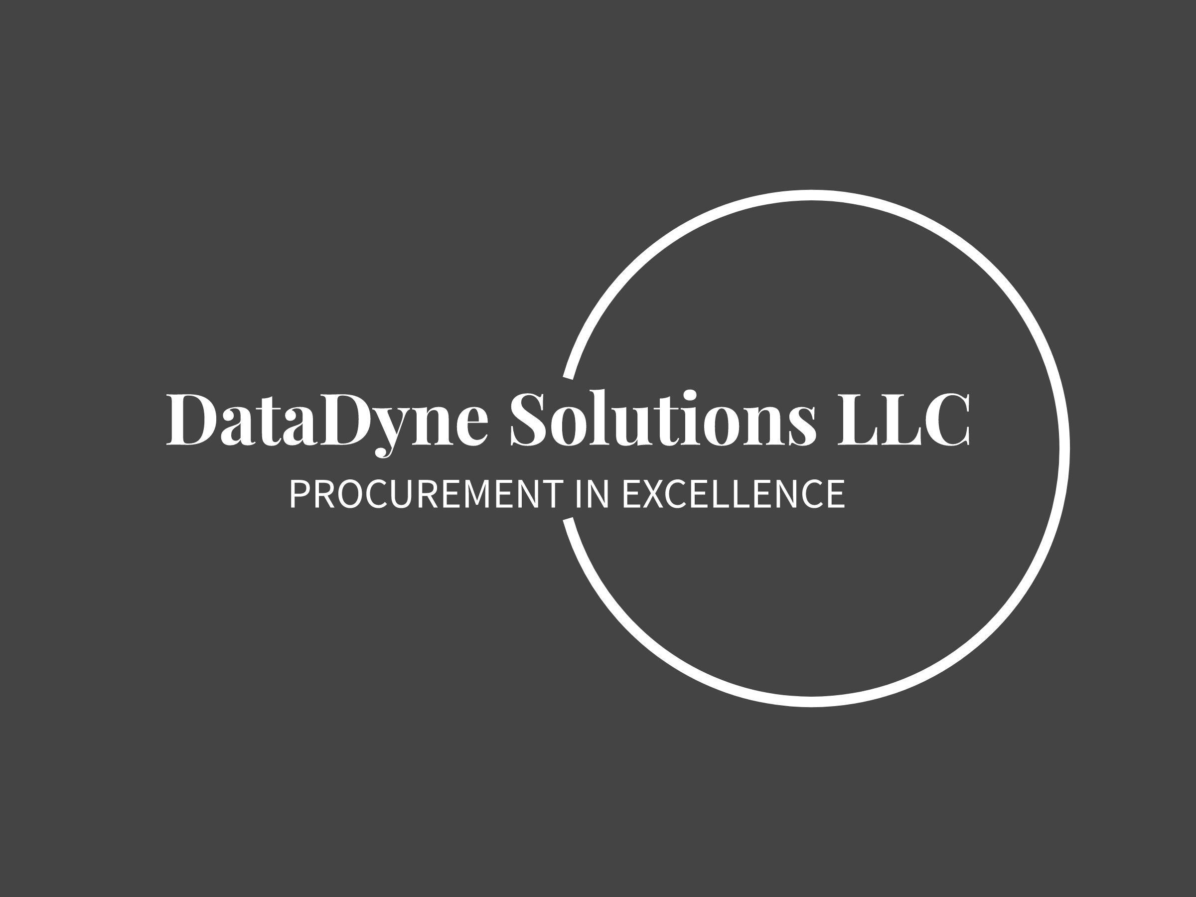 Datadyne Solutions LLC