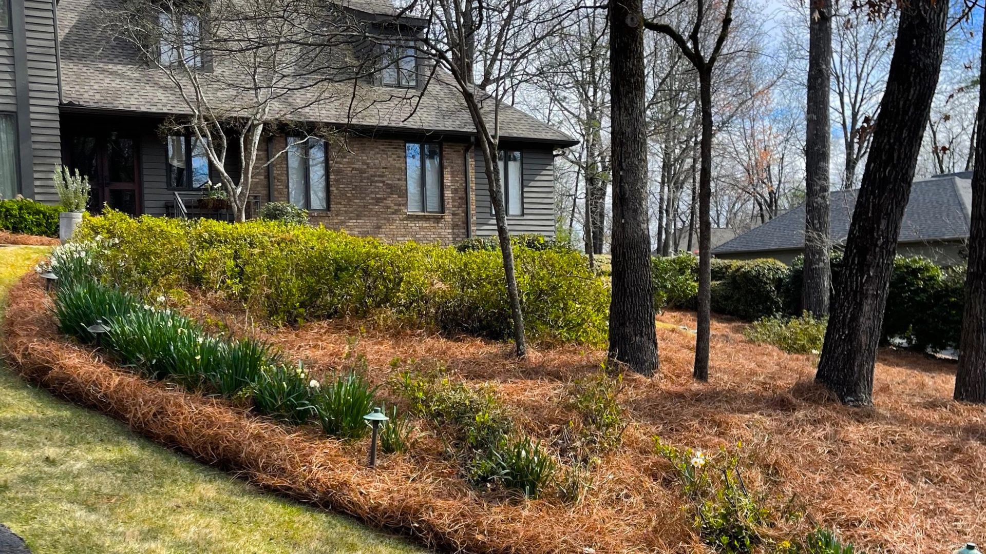 How to Use Pine Straw in Landscaping