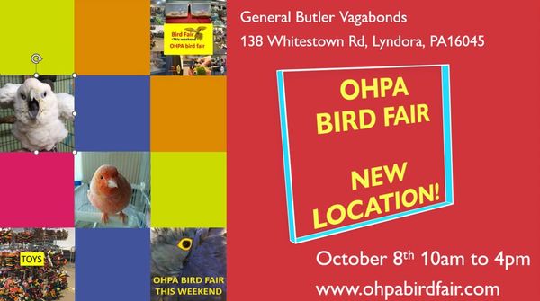 OHPA Bird Fair - Parrots, Birds
