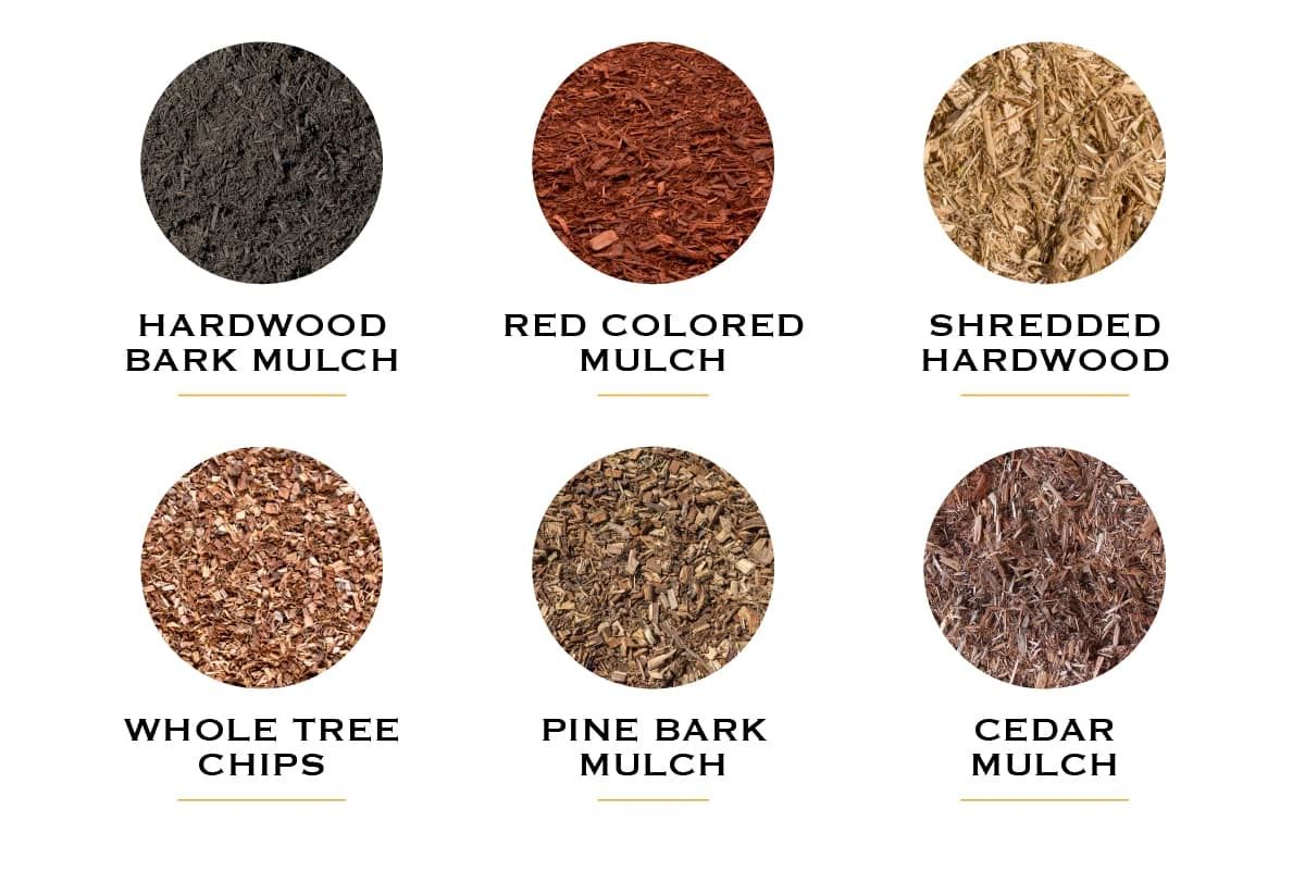 Everything You Need to Know About Mulch.