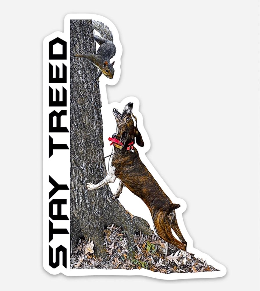 Brindle Cur Feist Squirrel Dog