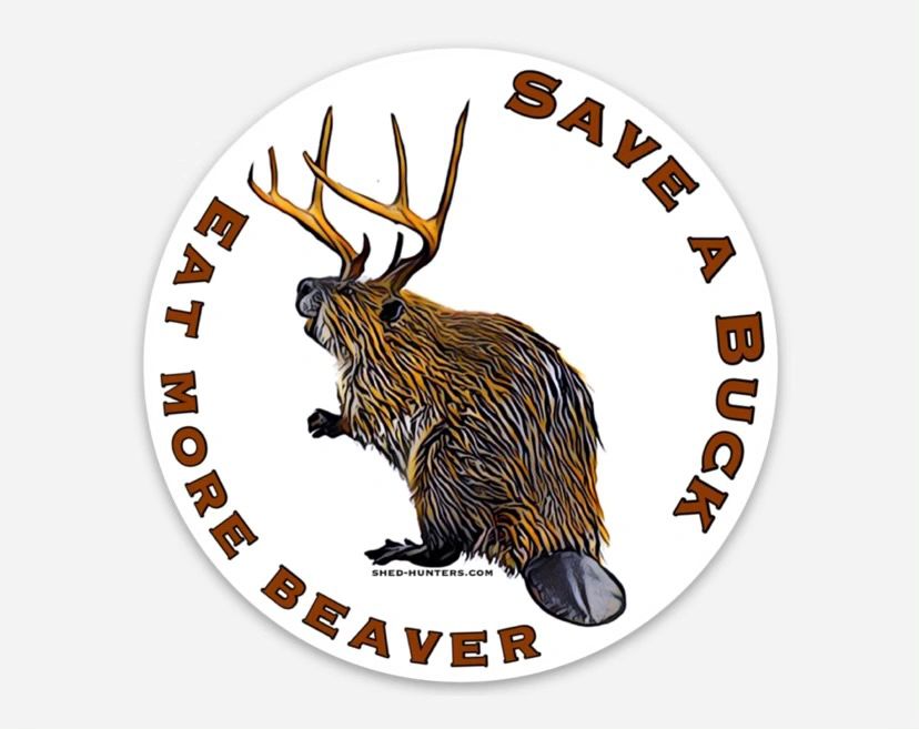 Save a Buck Eat More Beaver Sticker