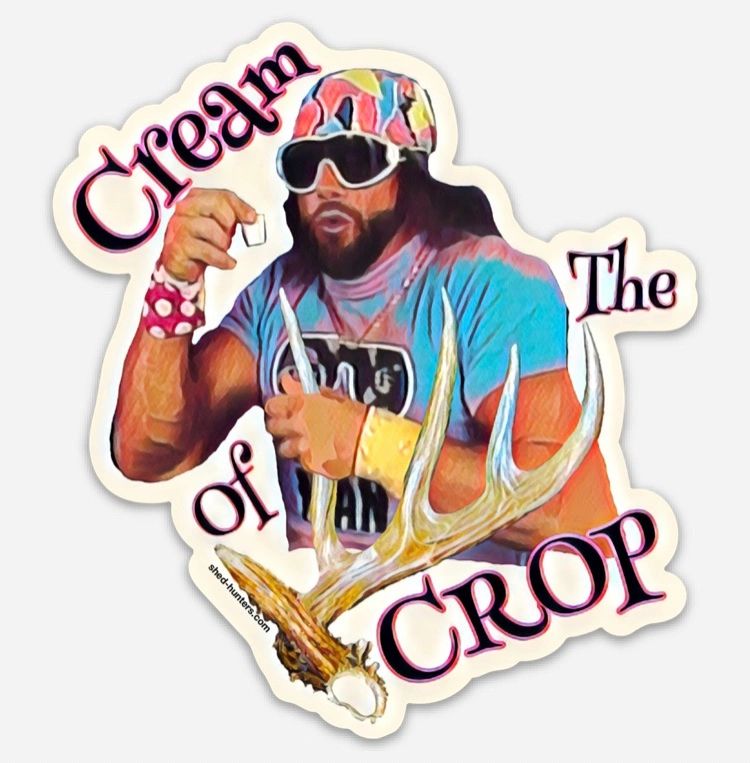 Macho Man shed hunter